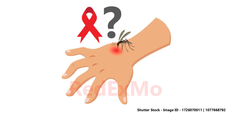 Why HIV not Spread Through Mosquito - RedExMo.com