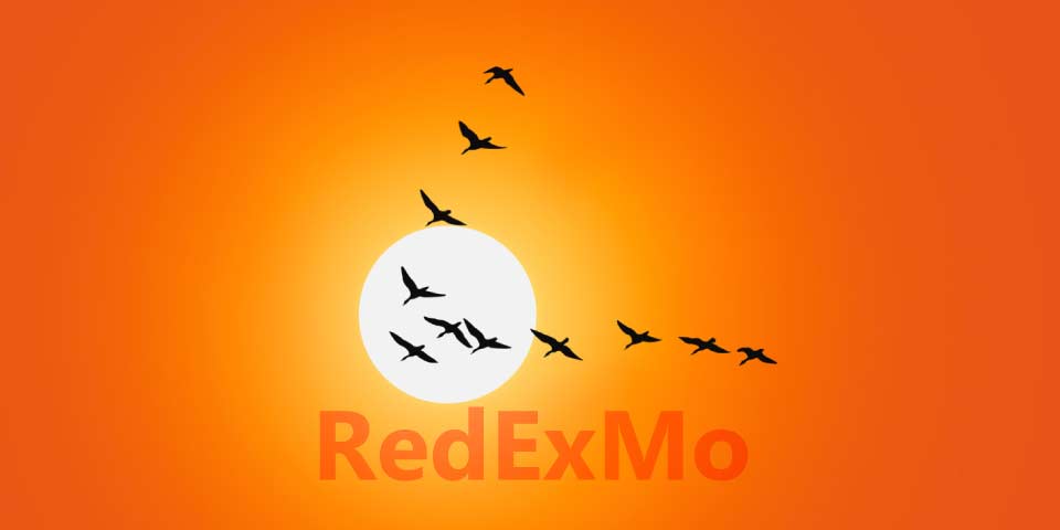 Why Do Birds Fly In V Formation Redexmo